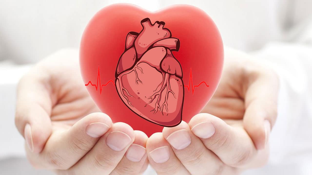 The Healthy Heart Asa Andrew