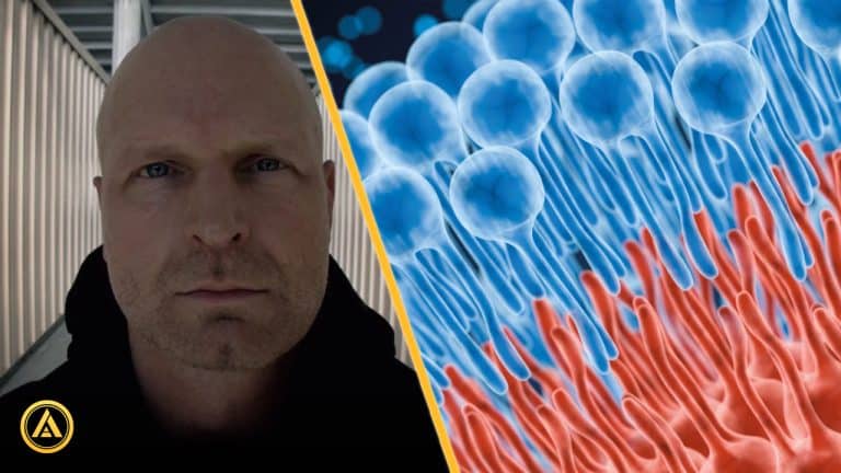 Fossil Lipids - Asa Andrew