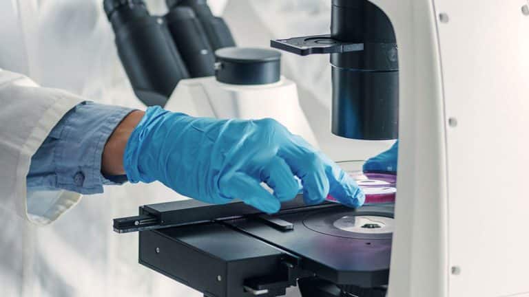 Epigenetic Testing - Asa Andrew